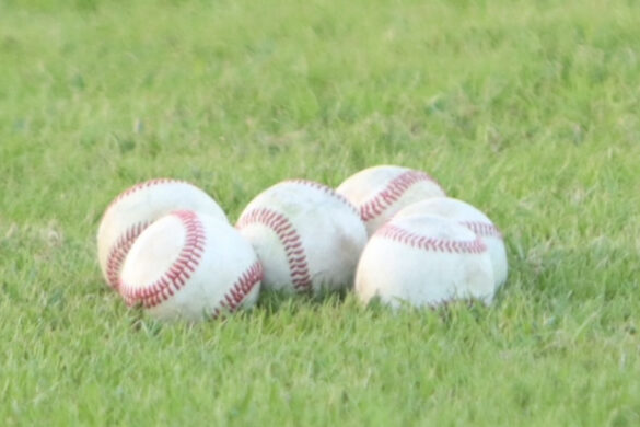 College baseball: BPCC sweeps Panola – Bossier Press-Tribune